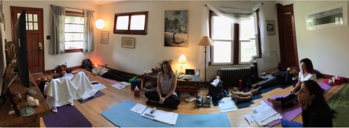OTs Raised the Roof on Health Care at the Holistic OT Yoga & Meditation ...