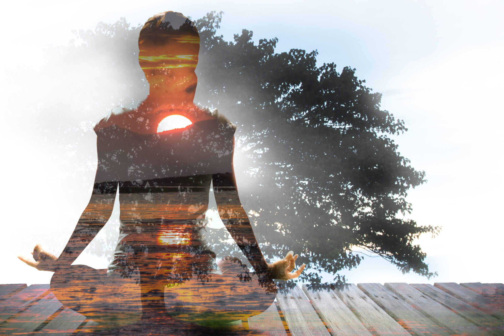 The Power of the Mind in Healing: Foundations in Integrative Health ...